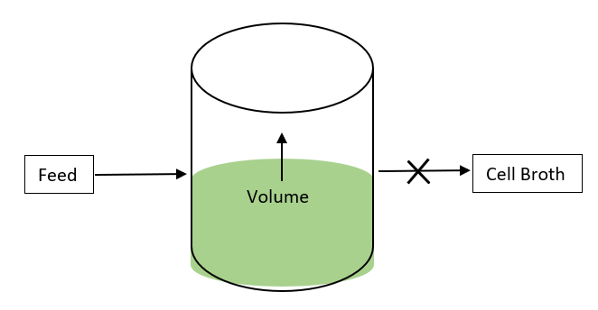 Fermentation Modes – Bioprocessing Explained